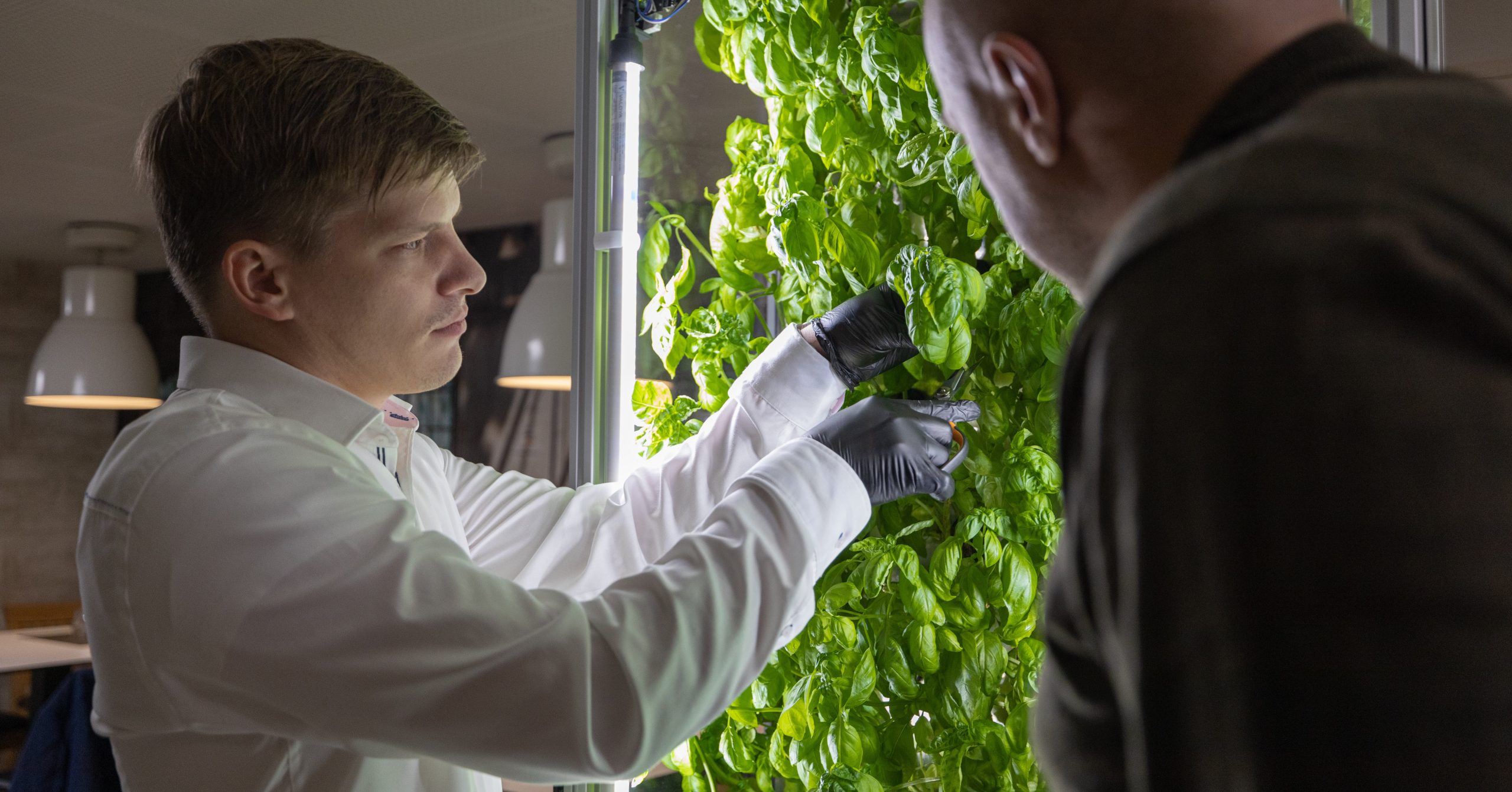 Arctic Farming revolutionizes food production with vertical farming ...